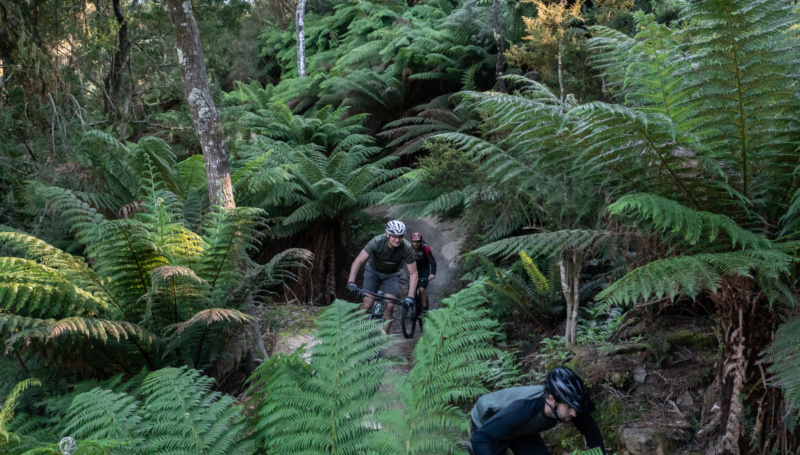 Blue Derby Pods Ride | New Trail Announcement - April 2025!