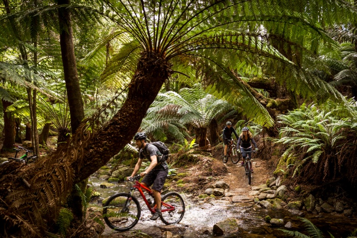 Blue Derby Pods Ride | Gallery